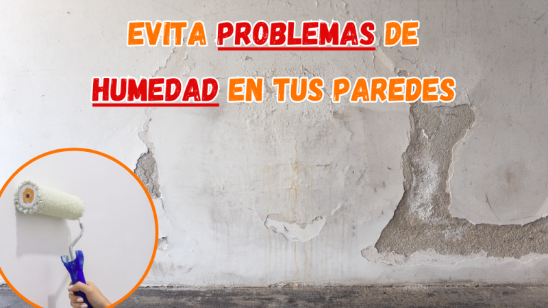 Cuál es la Mejor Pintura Antihumedad para Interiores - Tienda online de ...